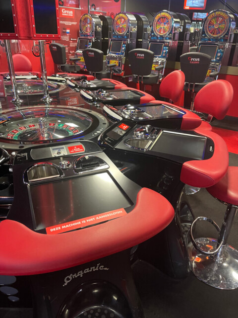 Get the Circus Casino experience